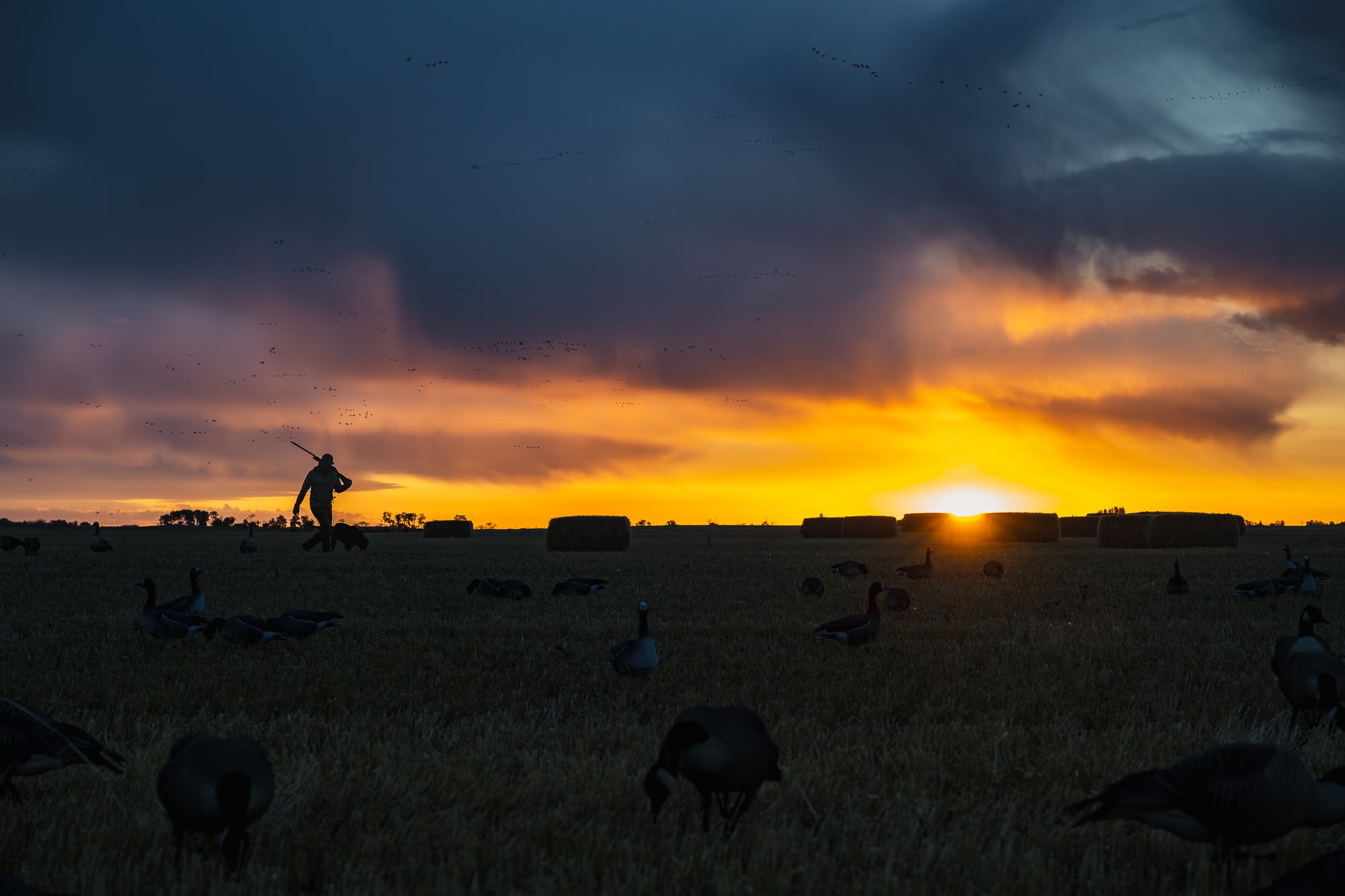 VOORMI | The World’s Most Advanced Performance Textiles